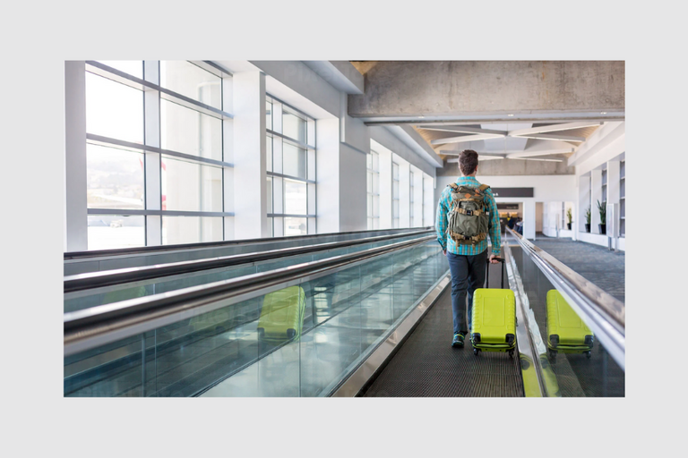 Tony's Terra Firma | Shepley Wood Products