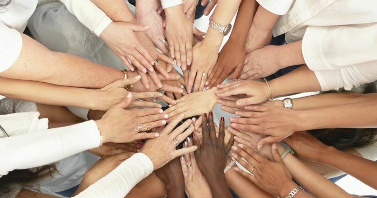 WE CAN | Shepley Wood Products - Cape Cod, MA