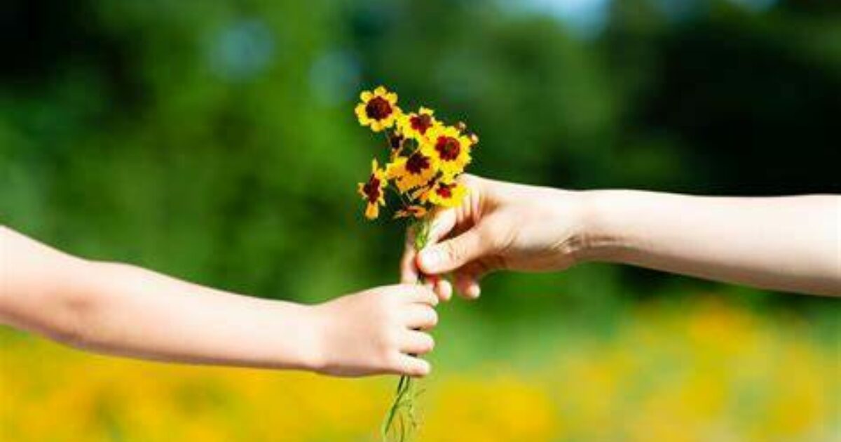 We Are Who We Are when No One… | Shepley Wood Products - Cape Cod, MA